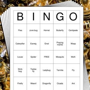 Insects Bingo Cards - 100 Pages to Download and Print - Etsy