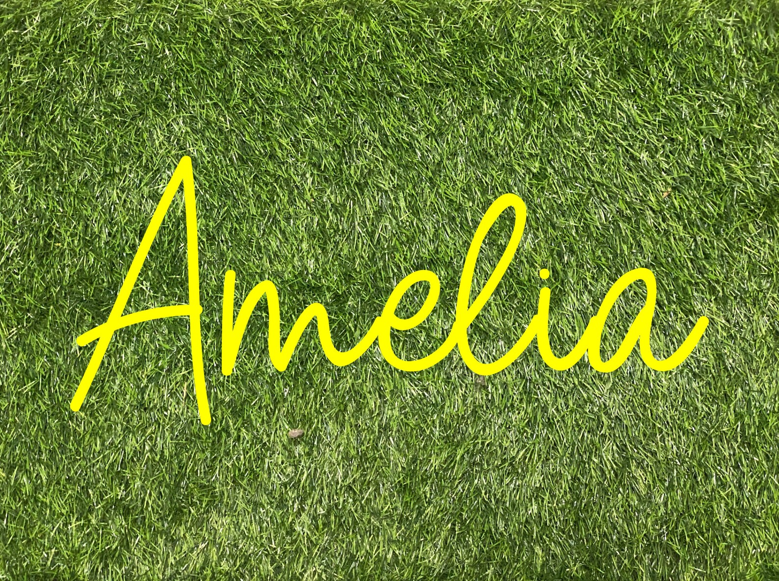 Amelia font Custom ACRYLIC Name Sign Great for a Living | Etsy