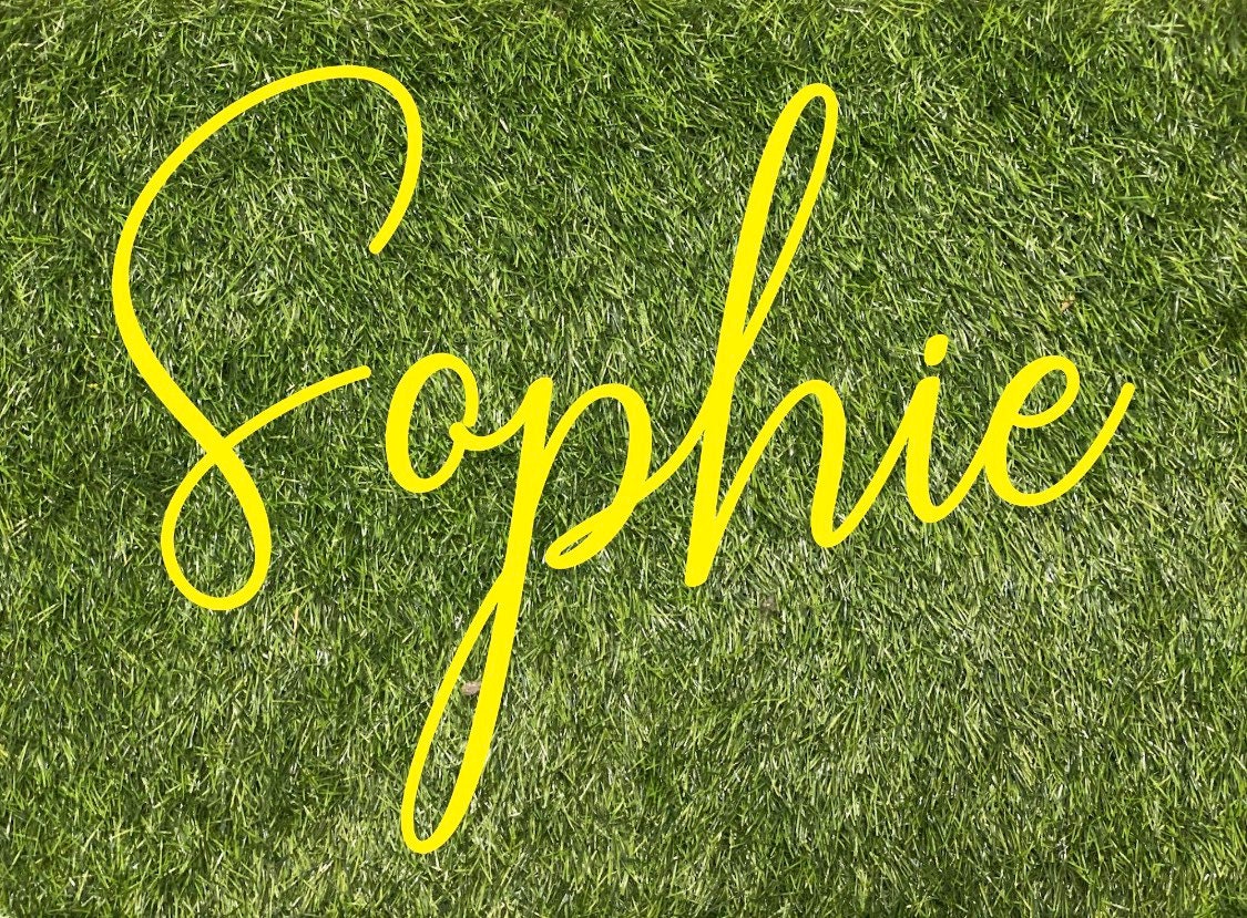 Sophie font Custom ACRYLIC Name Sign Great for a Living | Etsy