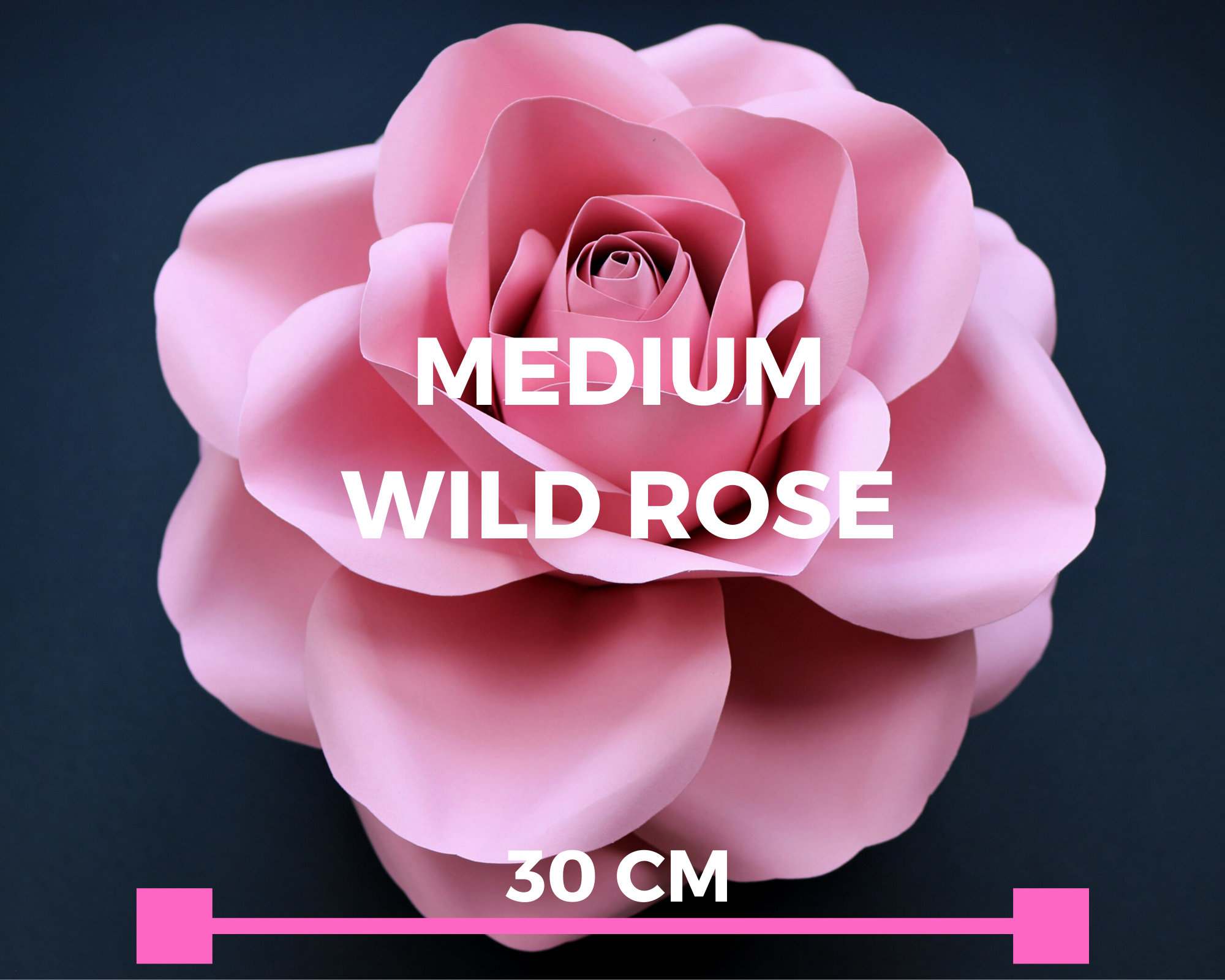 Wild Rose Medium Paper Flower Template PDF Printable Rose Template Size ...