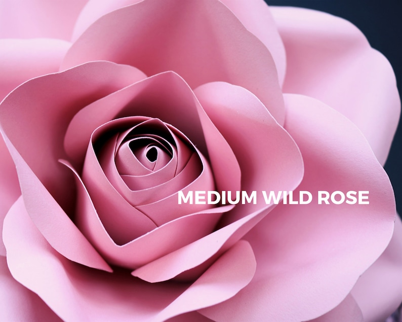 Wild Rose Medium Paper Flower Template PDF Printable Rose Template Size ...