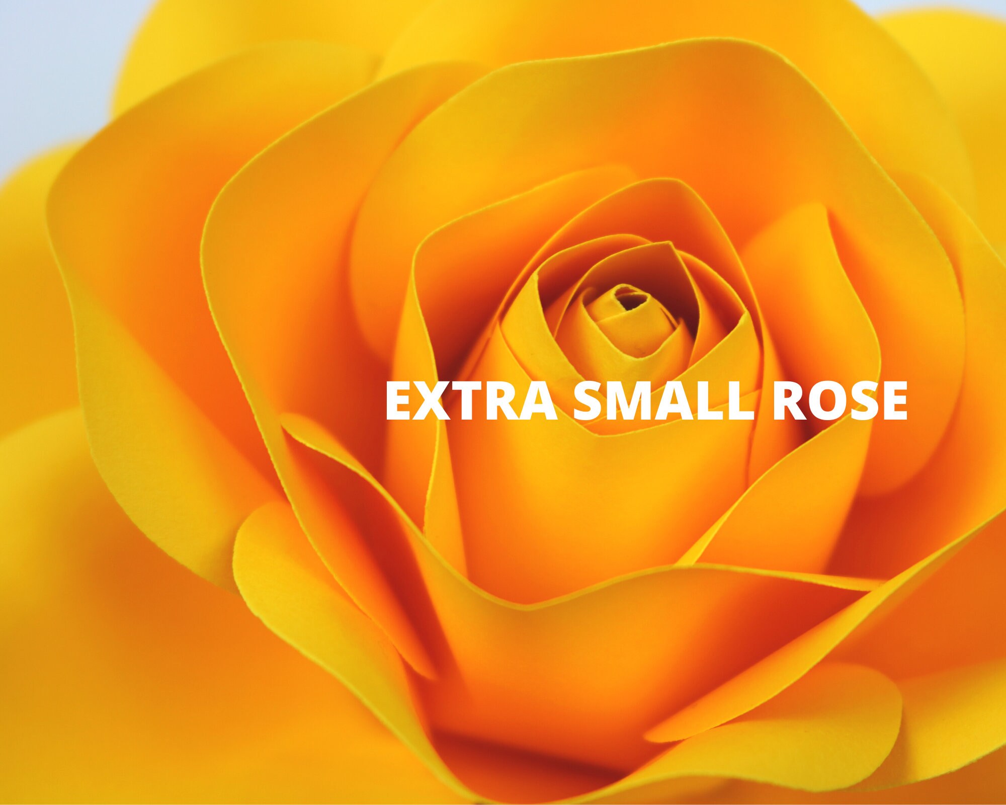 Paper Flower Bundle XS S M PDF Printable Rose Template | Etsy