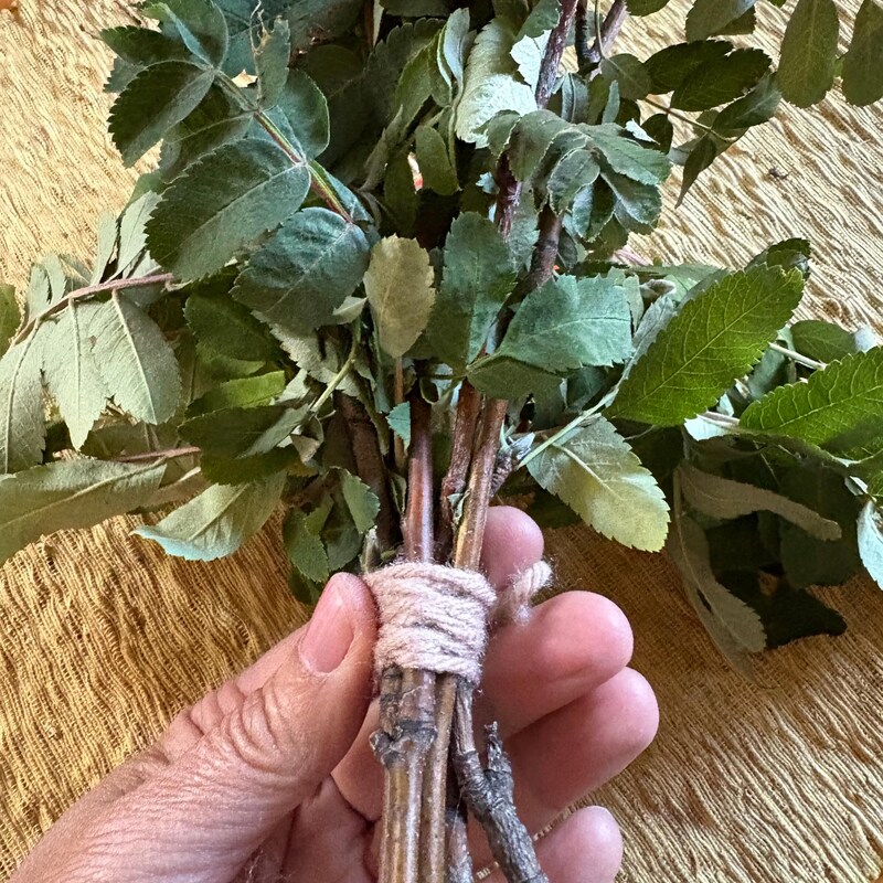 Twig Bundle - Etsy
