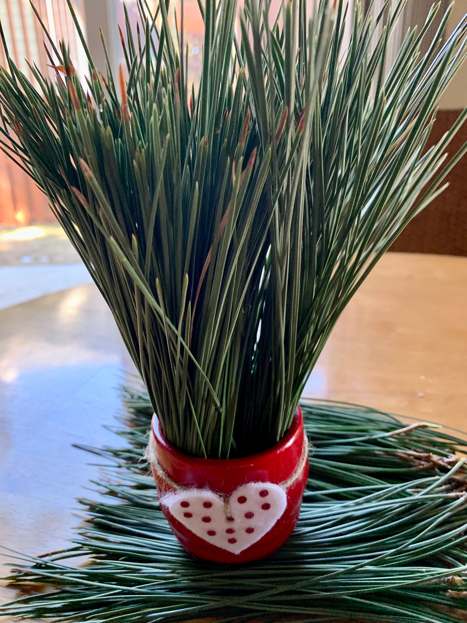 Green Pine Needles From PNW Oregon, Craft Project, Art Project ...