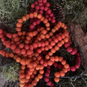 Preserved Rowan Berry Protection Charm: Organic Mountain Ash - Etsy