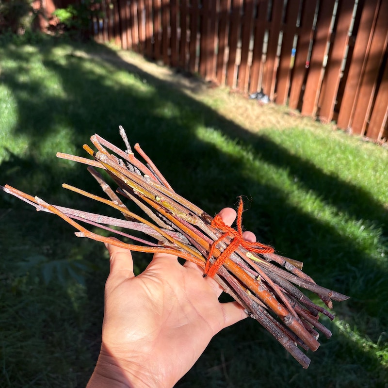 Driftwood Sticks - Etsy