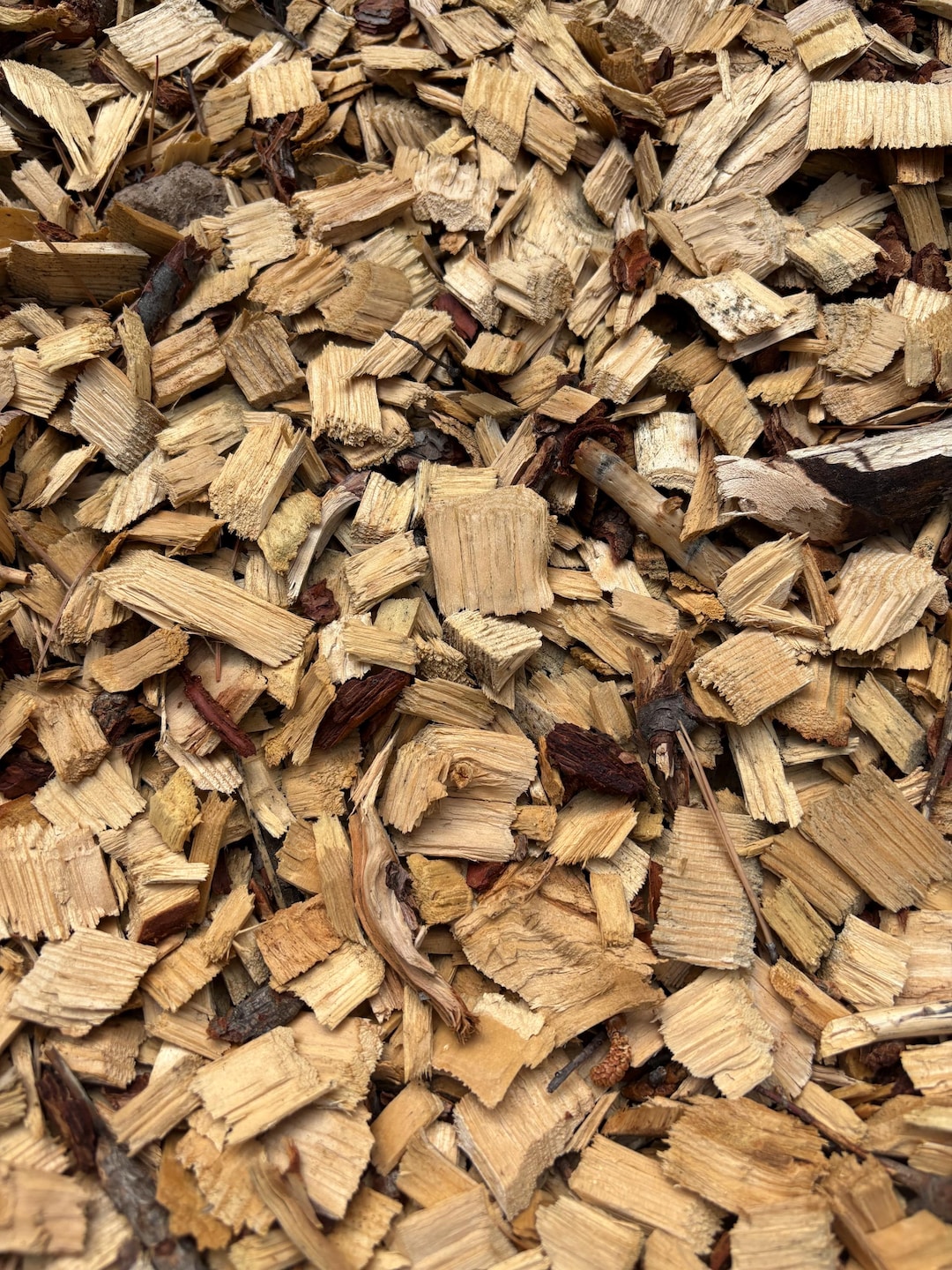 Hardwood Mulch Shredded, Organic, for Terranium, Small Animals, Pine ...