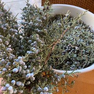 Fresh Juniper Branches: Aromatic Berry Stems - Etsy