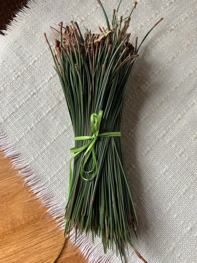 Green Pine Needles From PNW Oregon, Craft Project, Art Project ...