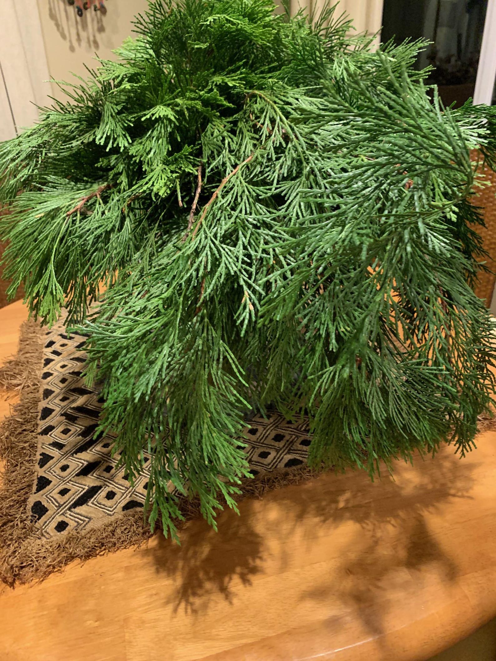 Fresh Western Cedar Branches, PNW Evergreens - Etsy