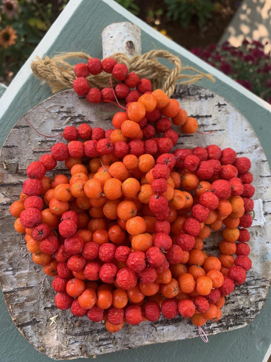 Preserved Rowan Berry Charm, Mountain Ash,rowan PNW BERRIES, Protection ...