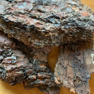 Ponderosa Pine Bark: Natural Craft Material, Terrarium Habitat, Rustic ...