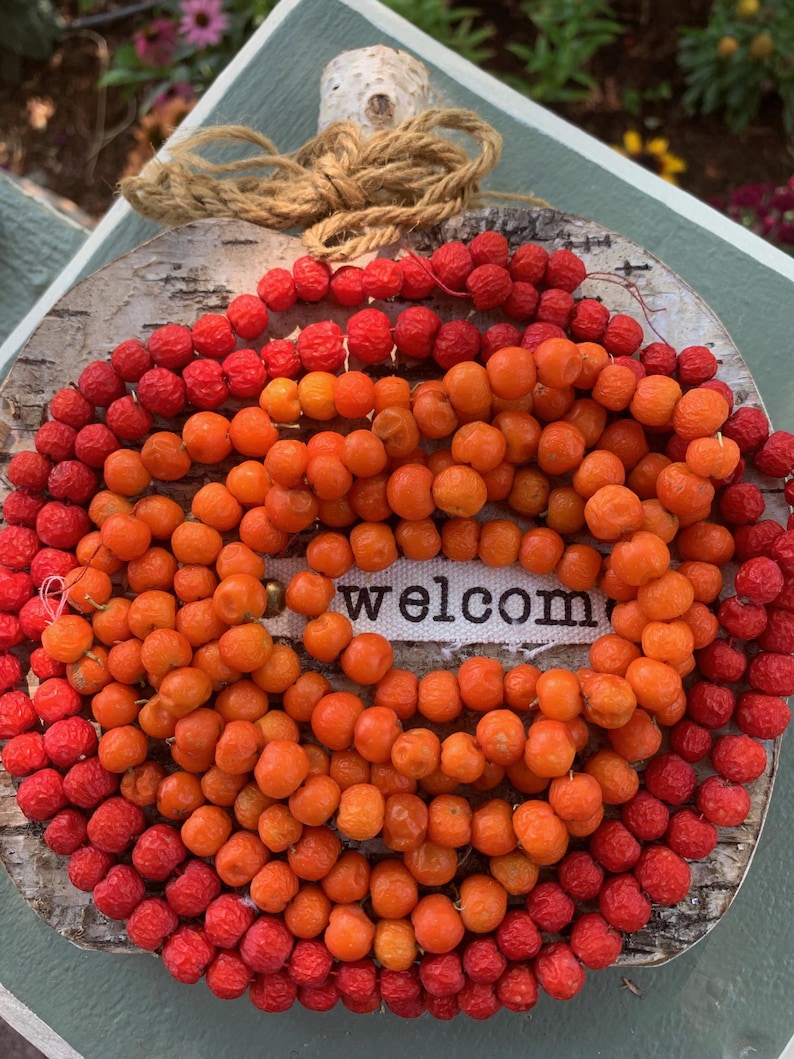 Mountain Ash Berries/ Rowan Berries From PNW Oregon, 200 G, 7 Oz. Only ...