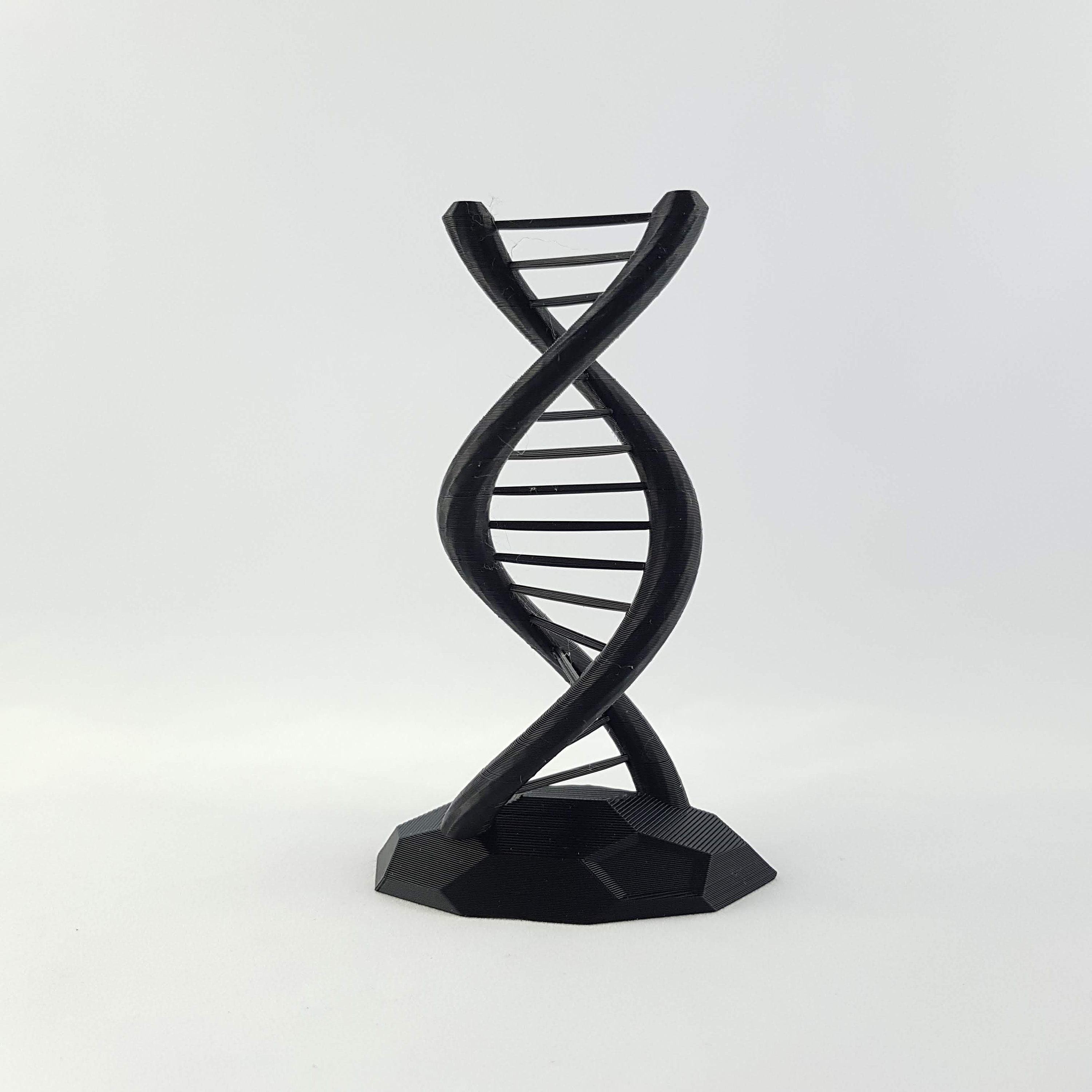 3d Dna Models