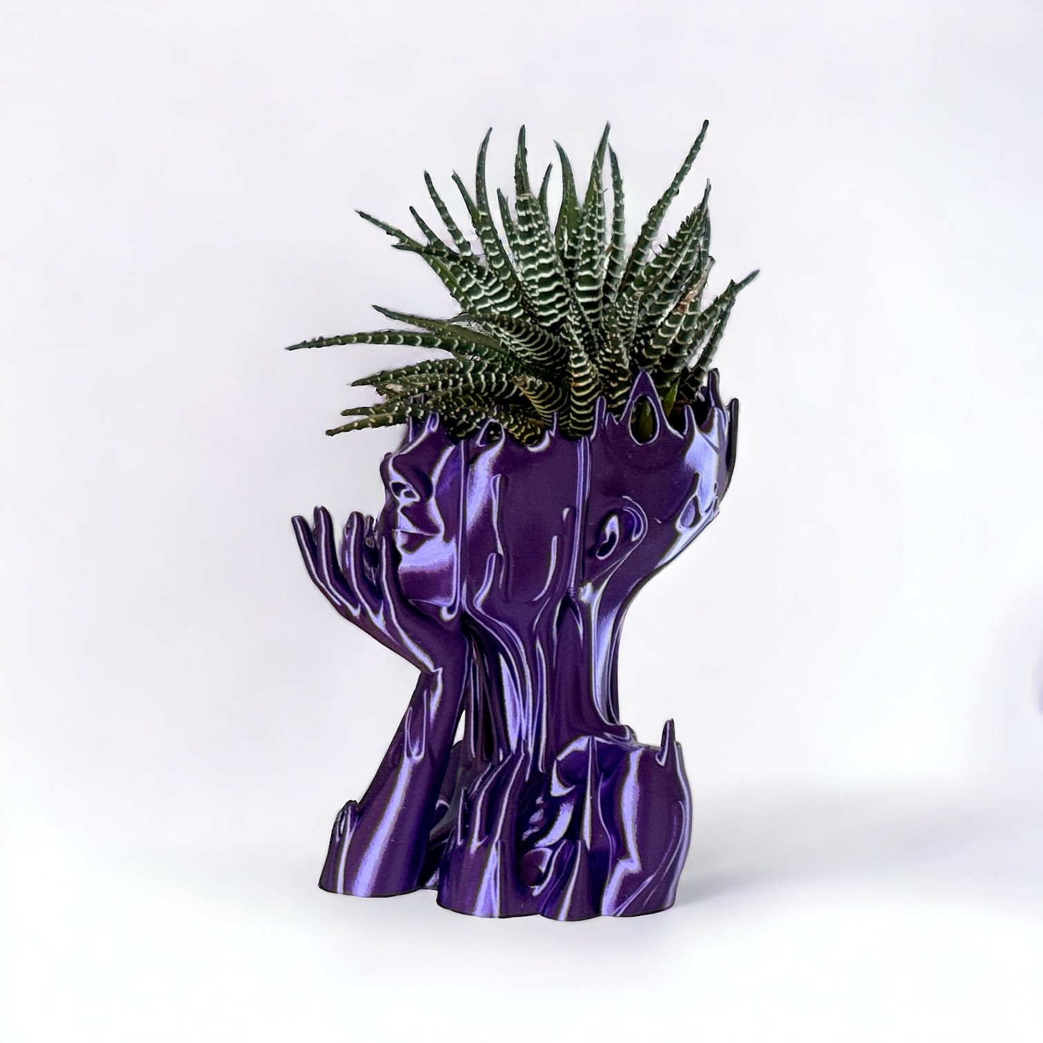 Melted Woman Face Planter | Goddess Head Succulent Pot With Drainage ...