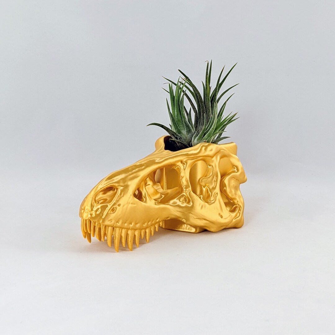 T-rex Tyrannosaurus Skull Pot, Vertical Planter With Drainage Hole ...