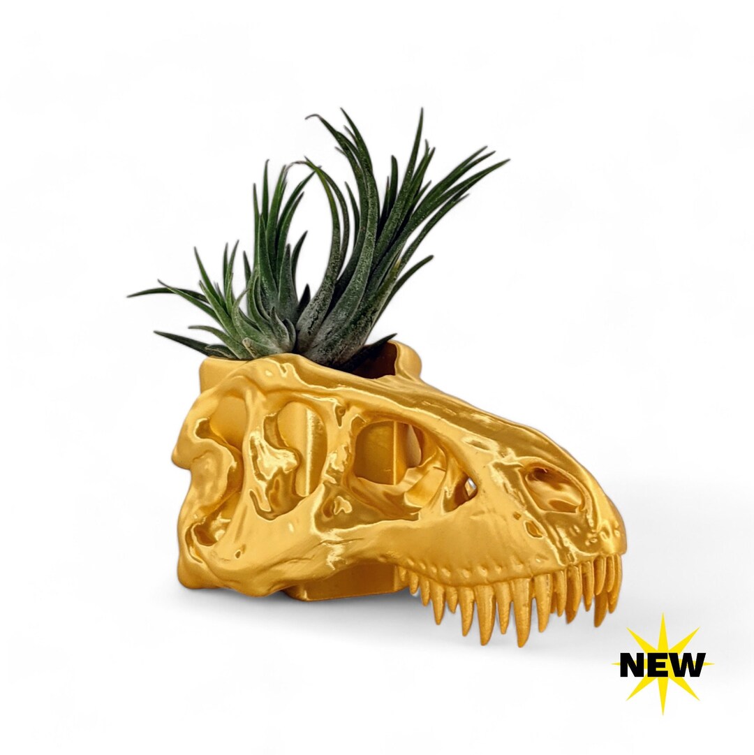 T-rex Tyrannosaurus Skull Pot, Vertical Planter With Drainage Hole ...