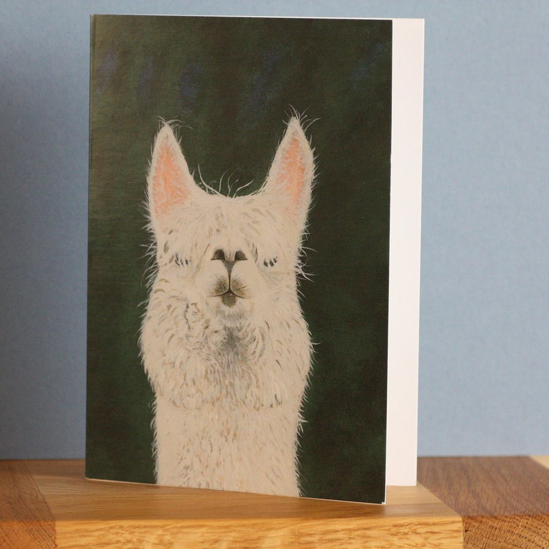 Alpaca Card - Etsy UK