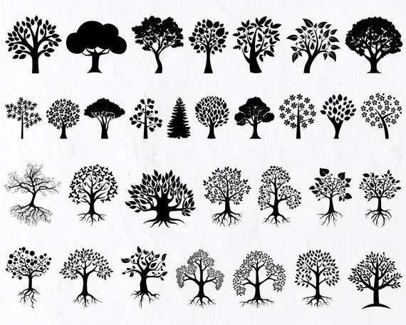 31 Tree SVG Bundle Tree Vector Tree Clipart Tree | Etsy