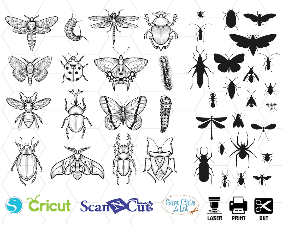 Insect Svg, Bug Svg, Insects Svg, Insect Clipart, Dragonfly Svg, Svg ...