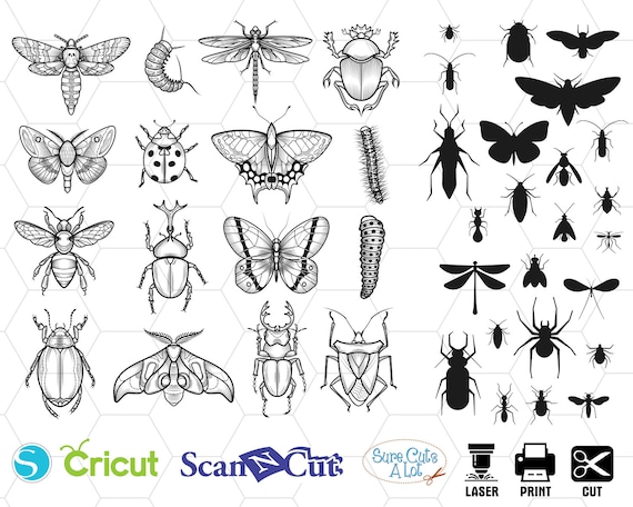 Insect Svg Bug Svg Insects Svg Insect Clipart Dragonfly - Etsy