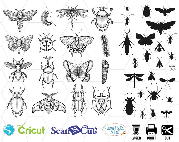 Insect SVG, Insects Bundle SVG Files for Silhouette and Cricut. Insect ...