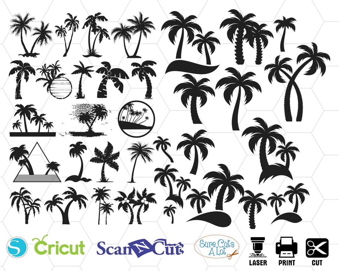 Tropical SVG Designs Svg, Cut Files, Tropical Palm Trees SVG, Jungle ...