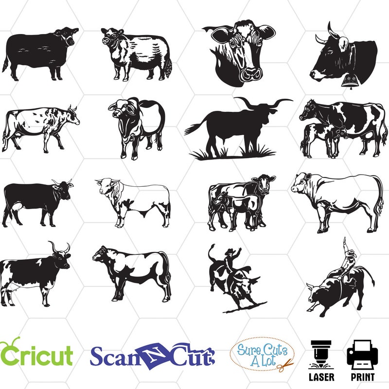 Cattle Svg - Etsy