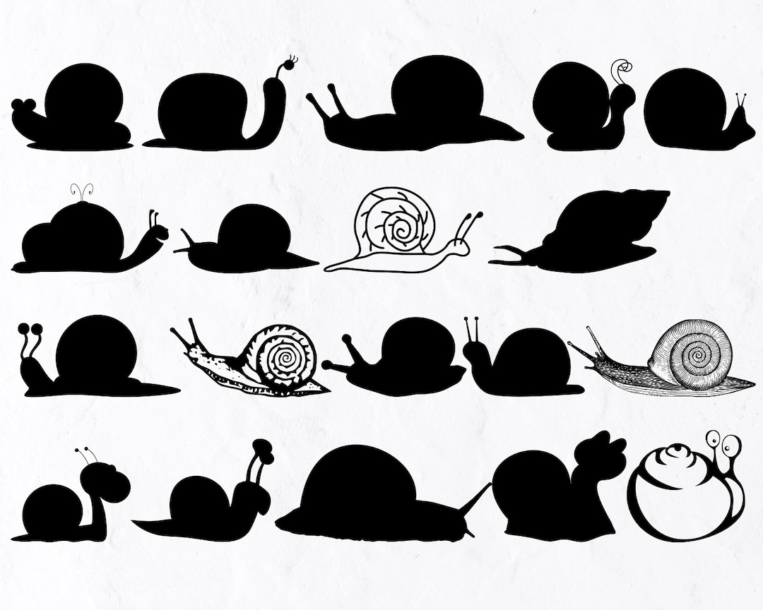 20 Snail SVG Bundle, Slow Snail Svg, Snail Illustration, Snail Clipart ...
