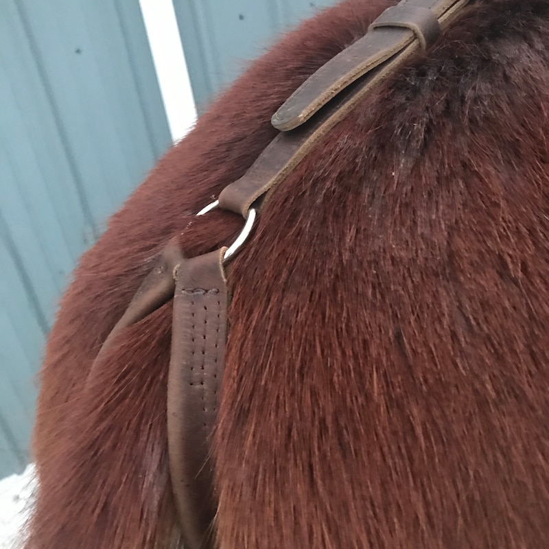 Mule Tack and Saddle - Etsy