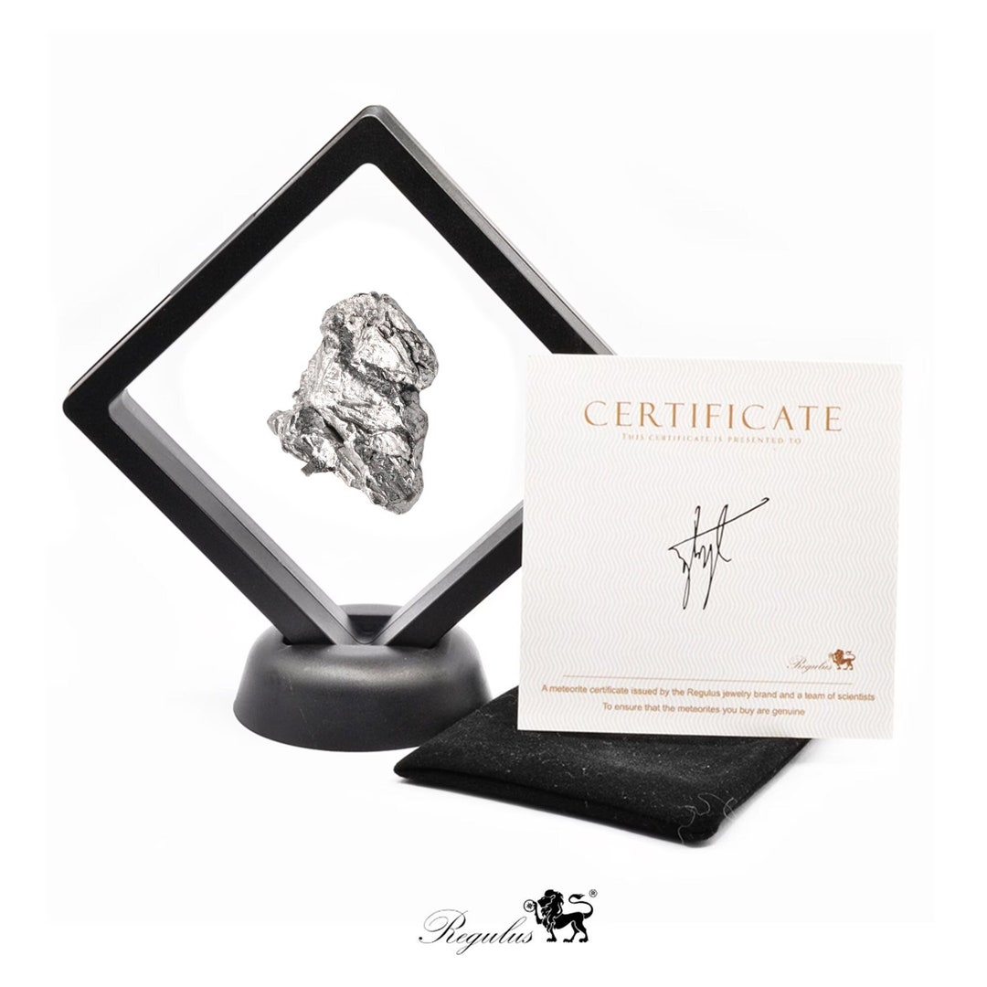 Aletai Iron Meteorite Specimen: Cosmic Relic With Display Case - Etsy