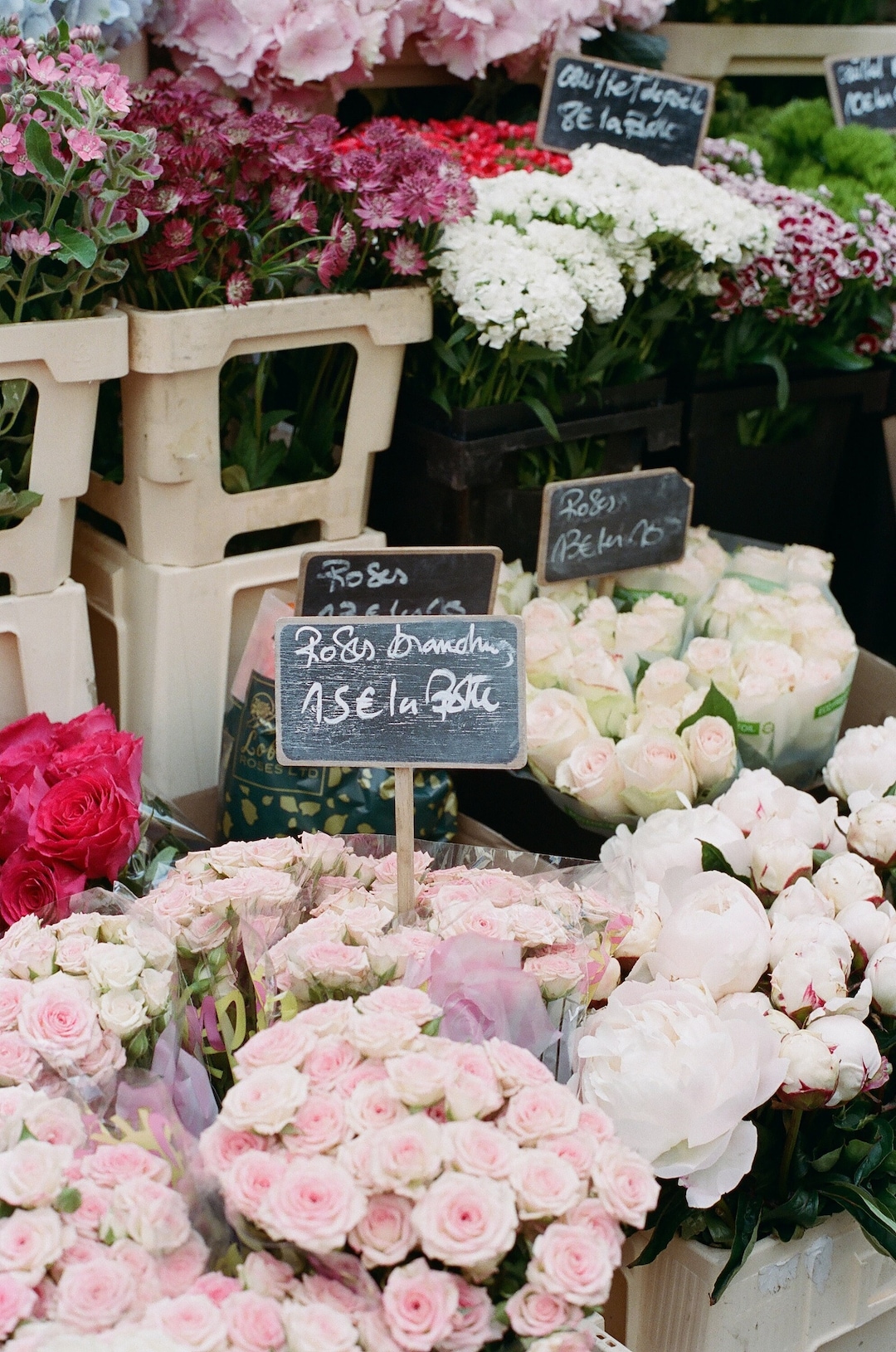 Paris Film Photography, Roses Art Print, Flower Market Print, Paris ...