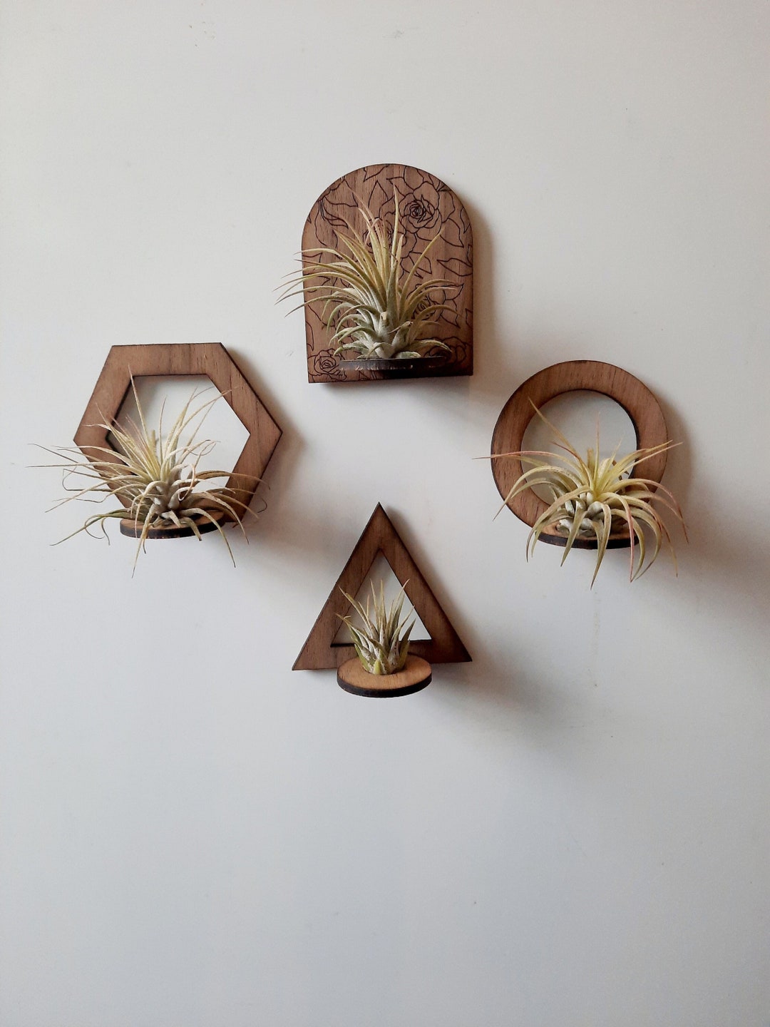 Magnetic Air Plant Holder - Etsy