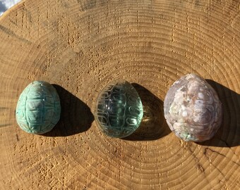 Turtle Shells | Etsy