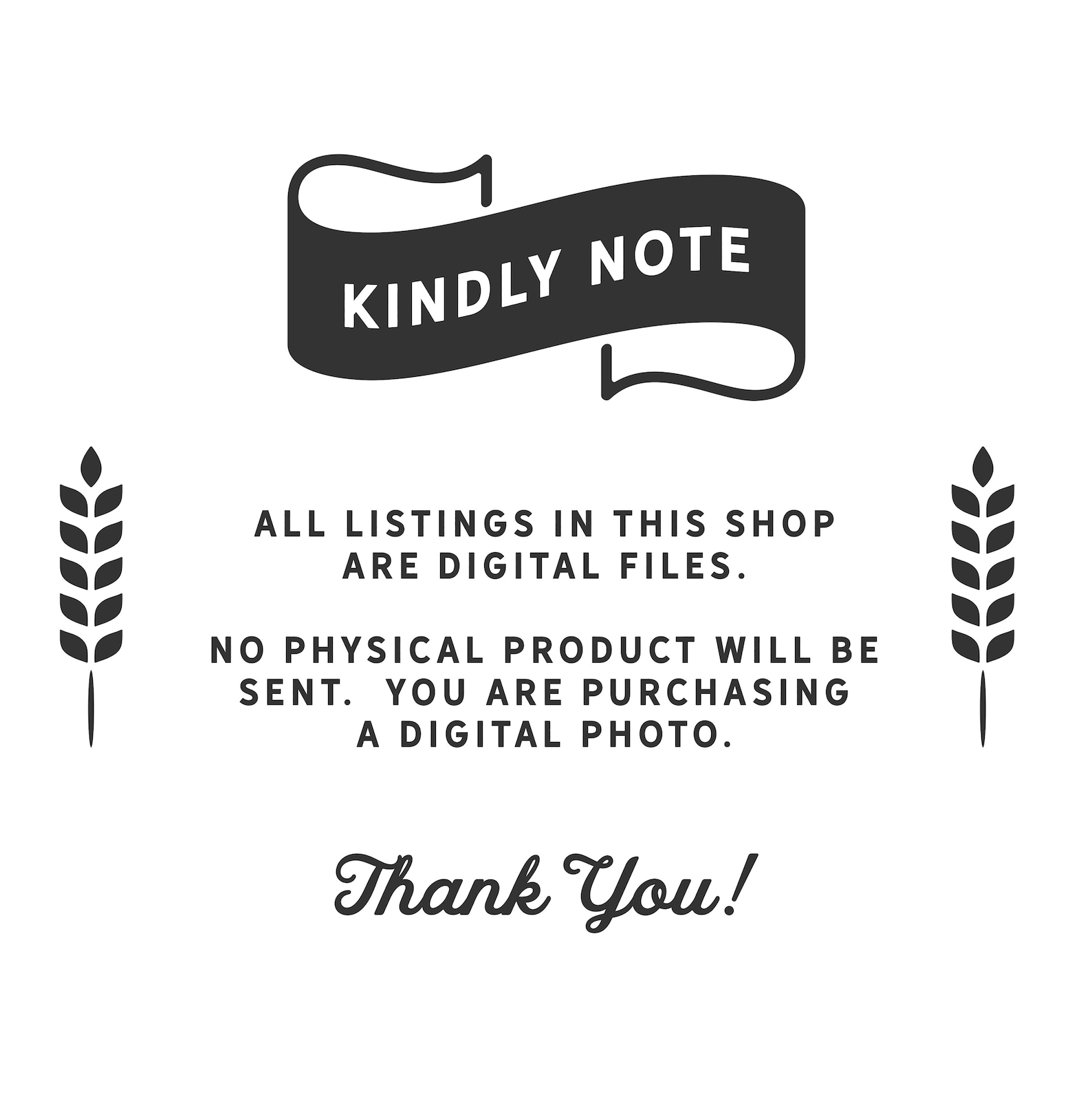 12x24 Wood Sign Mockup, Farmhouse Sign Mockup, Blank Wood Sign, Styled ...