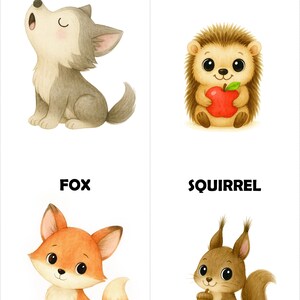 Printable Forest Animal Flashcards: Montessori Learning Cards (PDF ...