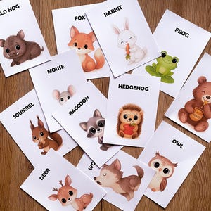 Printable Forest Animal Flashcards: Montessori Learning Cards (PDF ...