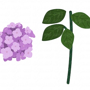 Hydrangea SVG for Cricut Png Eps Clipart - Etsy