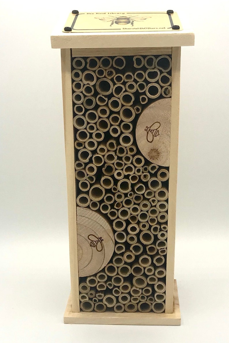 Bee Kind Library From the Family of the Founder of the Little Free ...