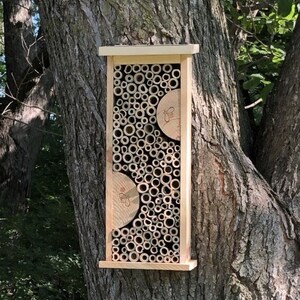 Bee Kind Library From the Family of the Founder of the Little Free ...