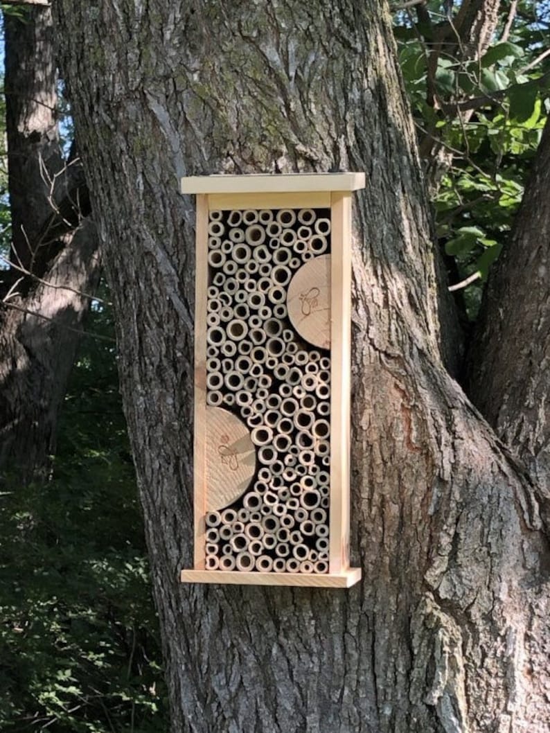 Bee Kind Library From the Family of the Founder of the Little Free ...