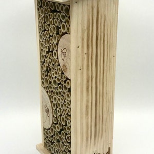 Bee Kind Library From the Family of the Founder of the Little Free ...