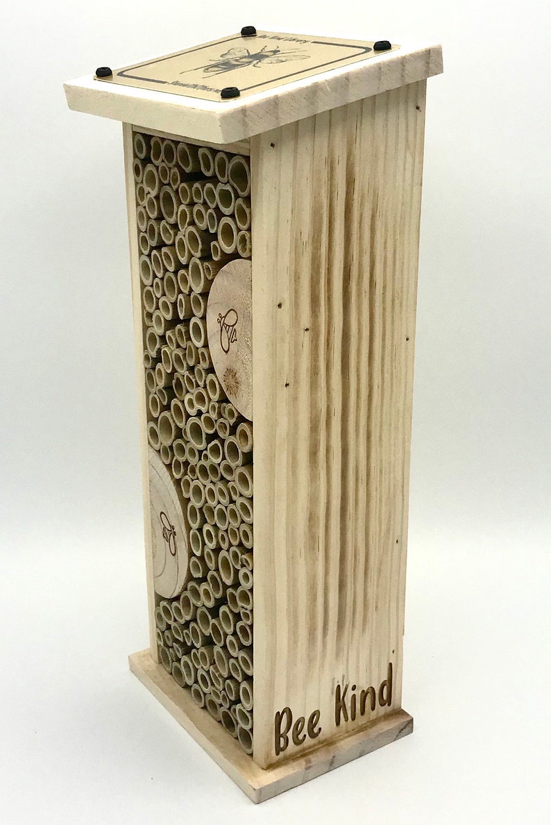 Bee Kind Library From the Family of the Founder of the Little Free ...