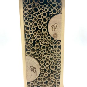 Bee Kind Library From the Family of the Founder of the Little Free ...