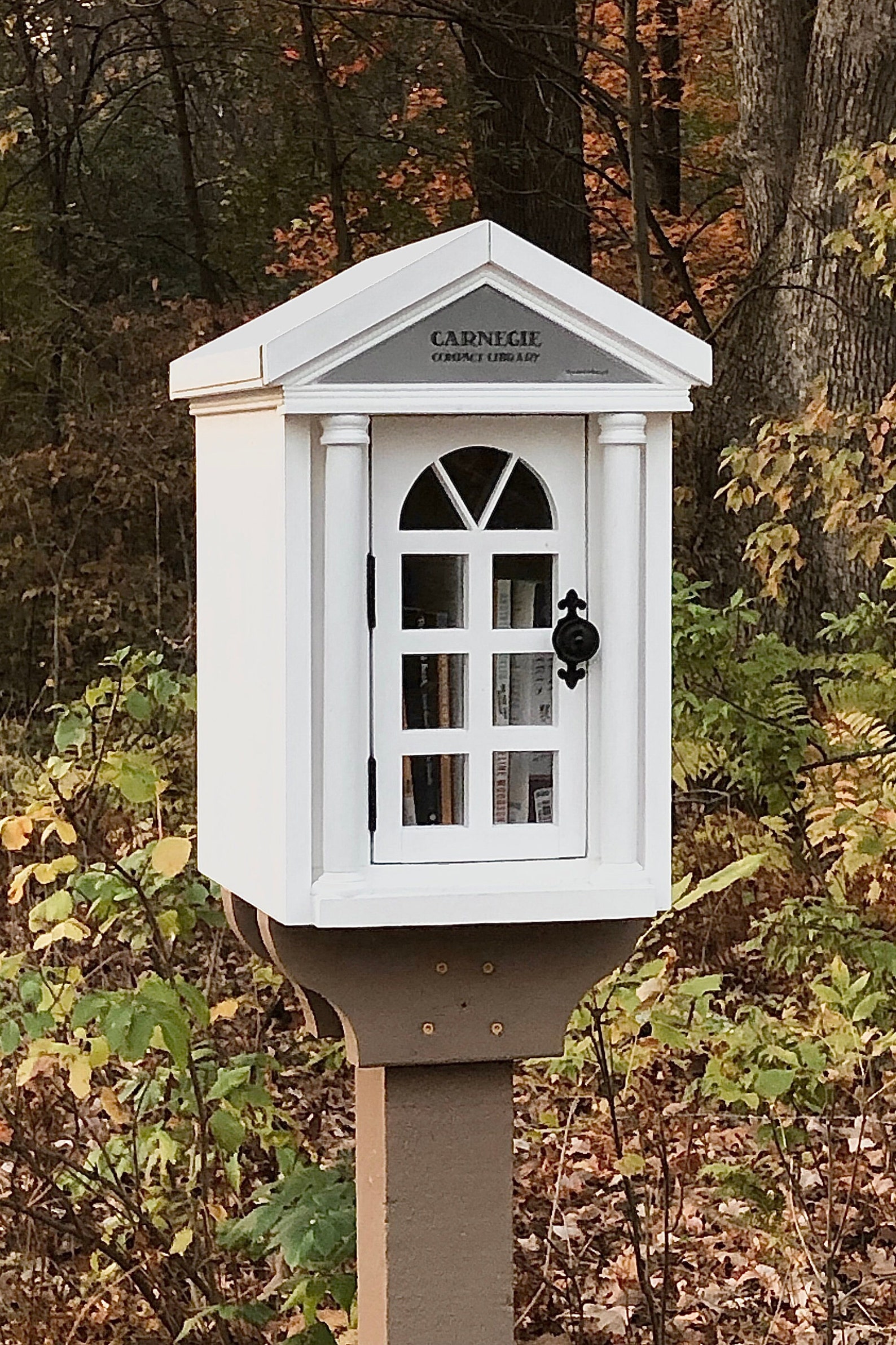 Carnegie Compact Library With FREE Shipping & FREE Plaque From the ...