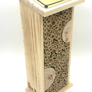 Bee Kind Library From the Family of the Founder of the Little Free ...