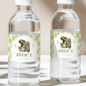Dinosaur Birthday Water Bottle Labels Retro T Rex Checkered Round Water ...