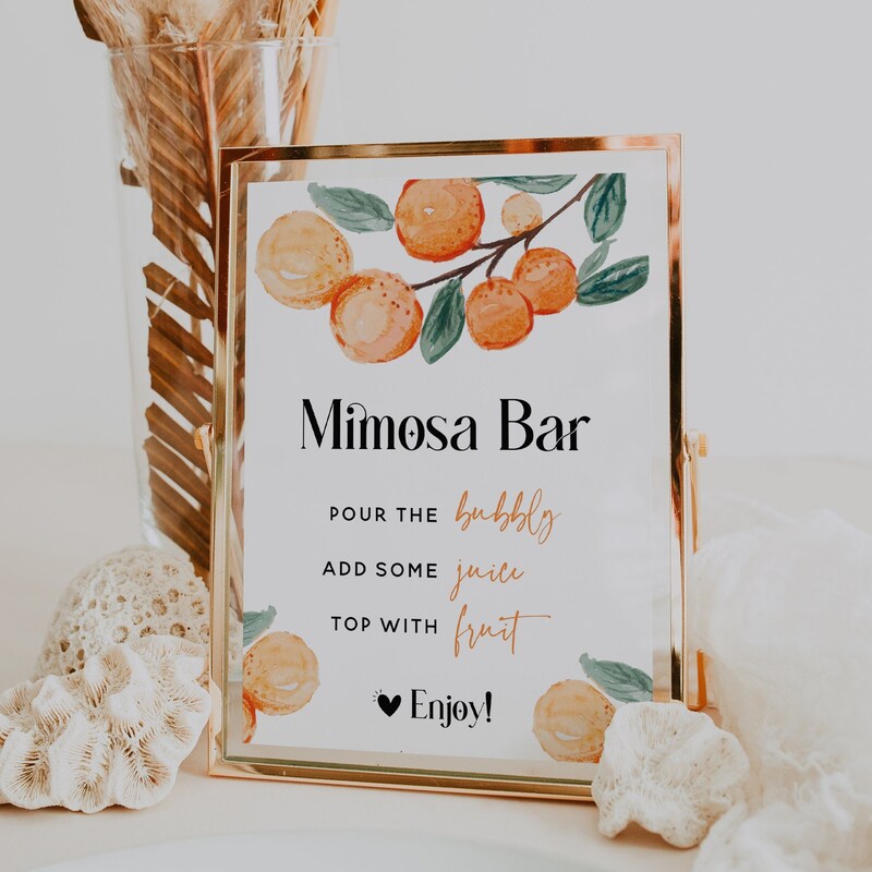 Fruit Bars Florida - Etsy