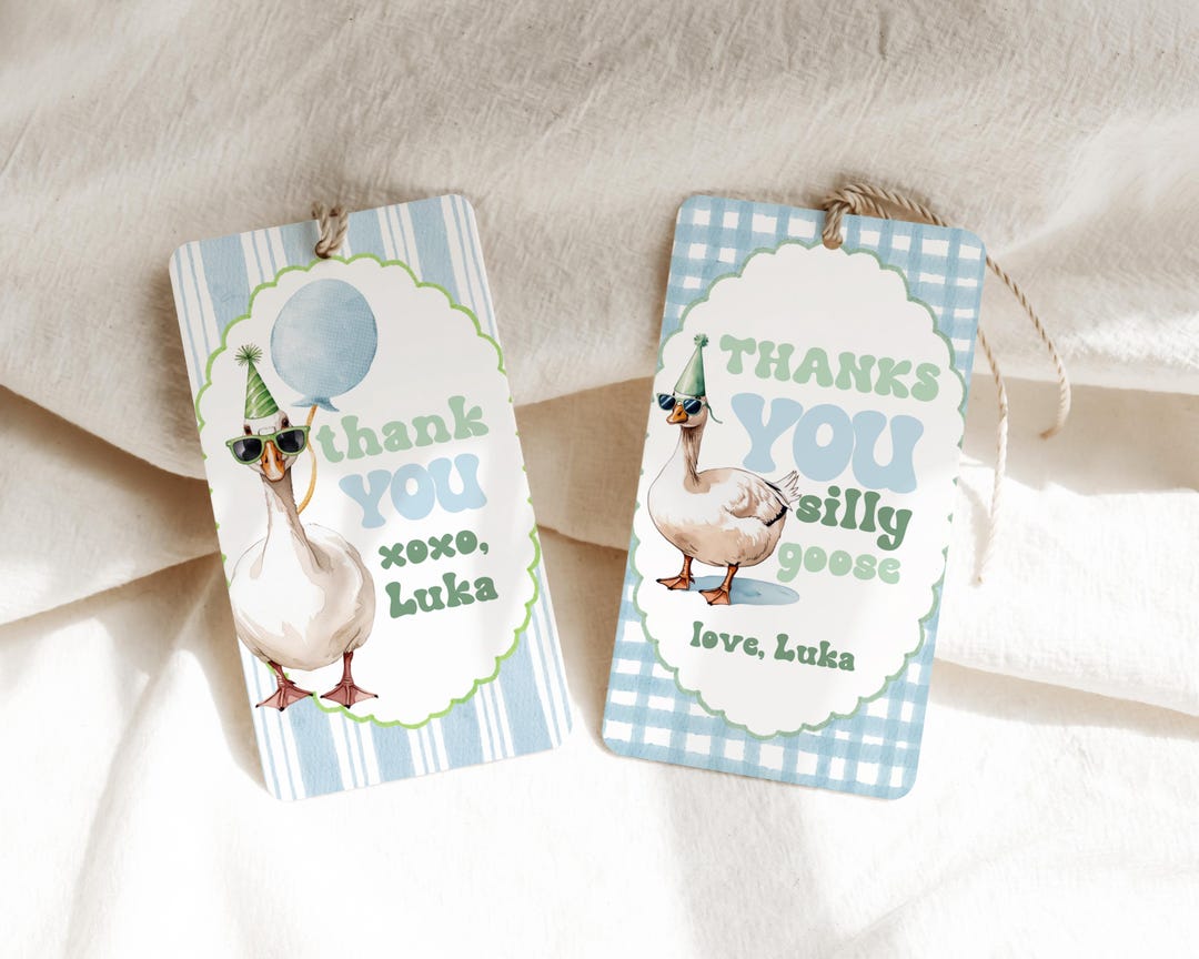 Silly Goose Birthday Thank You Tags, Boy 1st Birthday Decor, Blue Goose ...