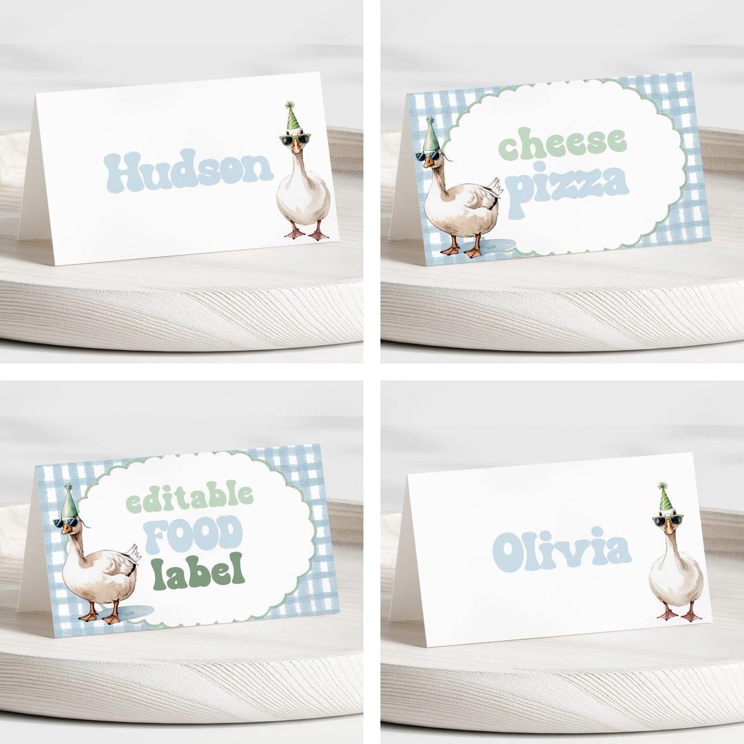 Silly Goose Birthday Food Labels, Boy Birthday Place Cards, Blue Goose ...